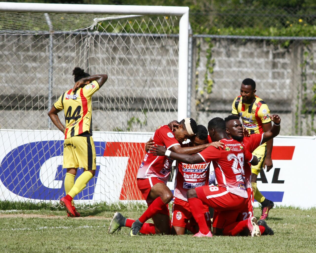 Resumen LNP: Vida, Marathón y Juticalpa sacan sendos triunfos