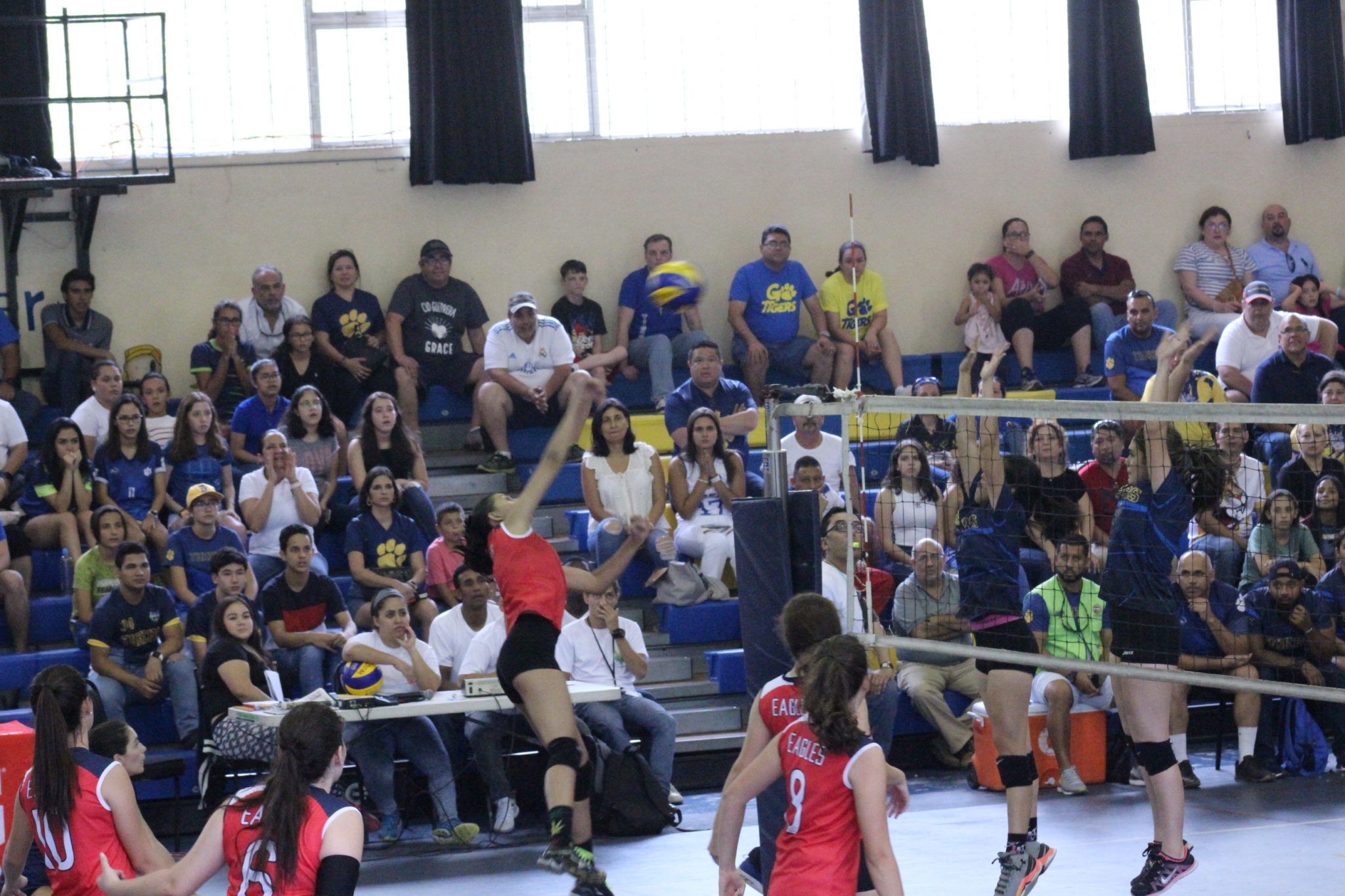 ABSH: IST, La Estancia y Freedom los grandes laureados del Voleibol